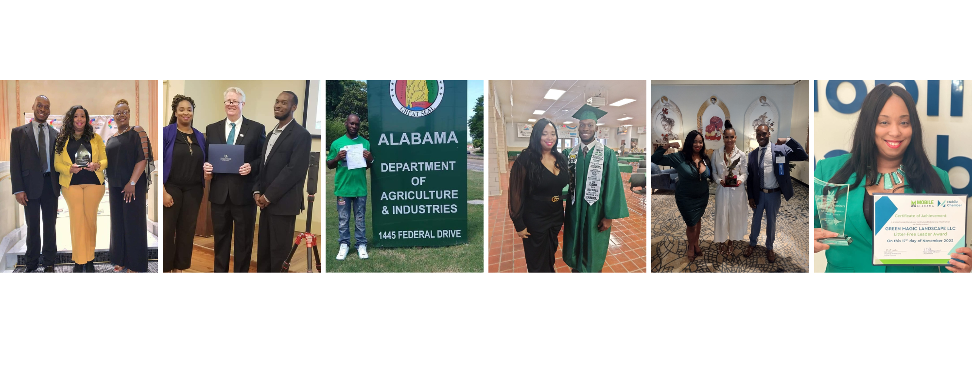 Green Magic Landscape