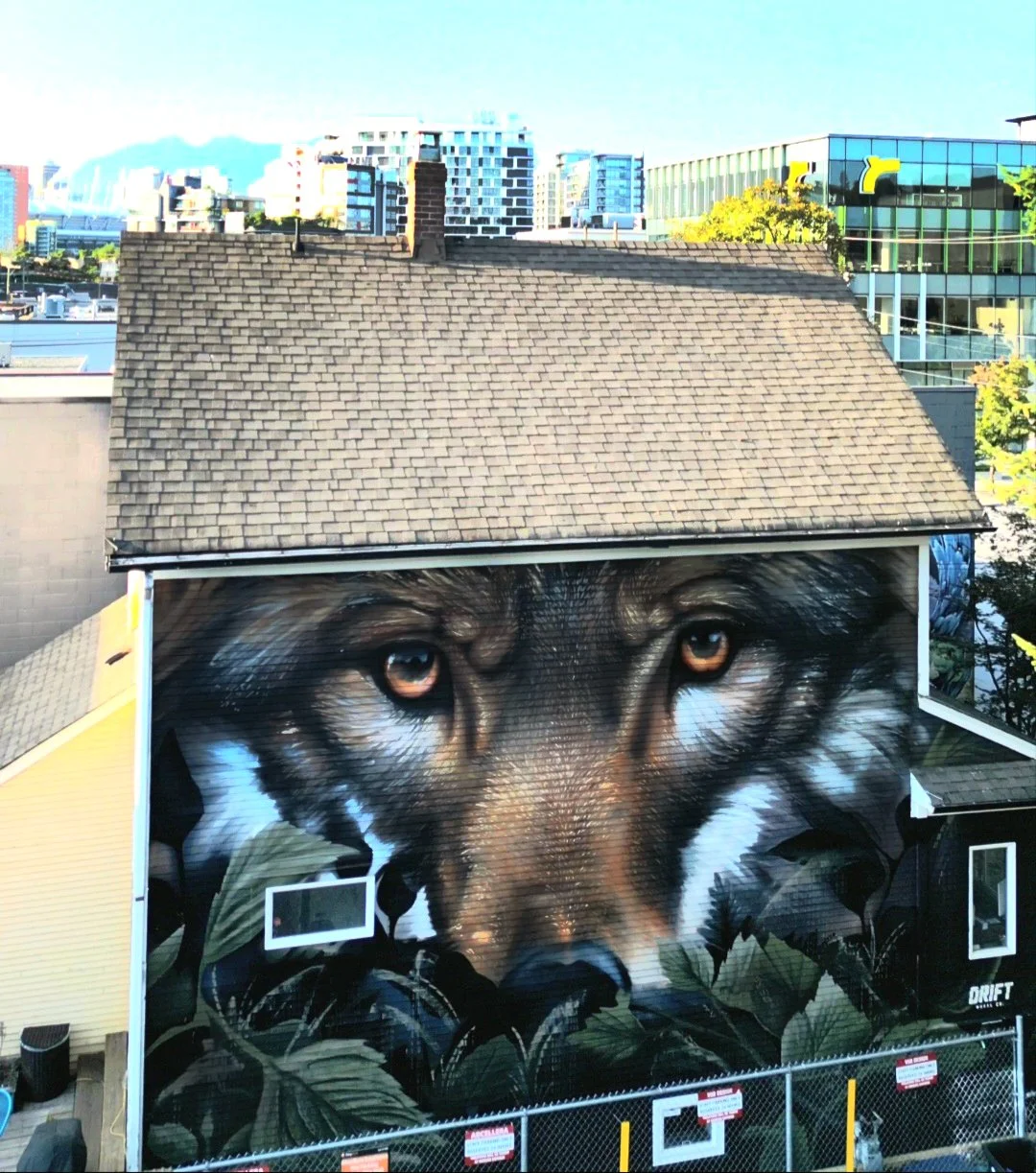 Vancouver, British Columbia - We Howl / Vancouver Mural Festival ...