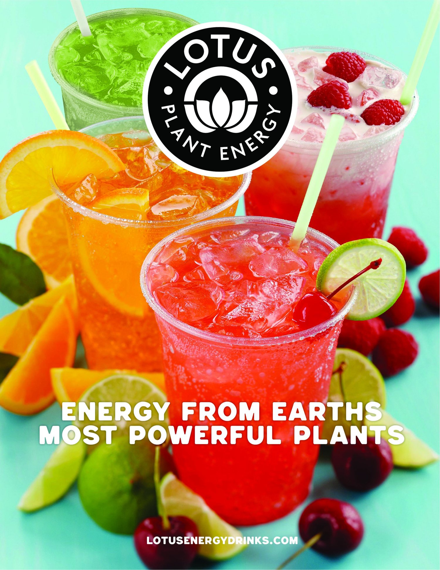 Lotus Energy