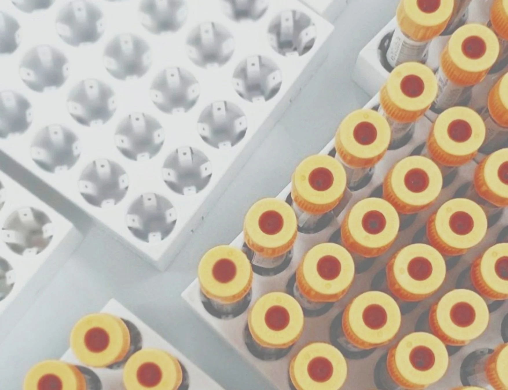 Cell Technologies