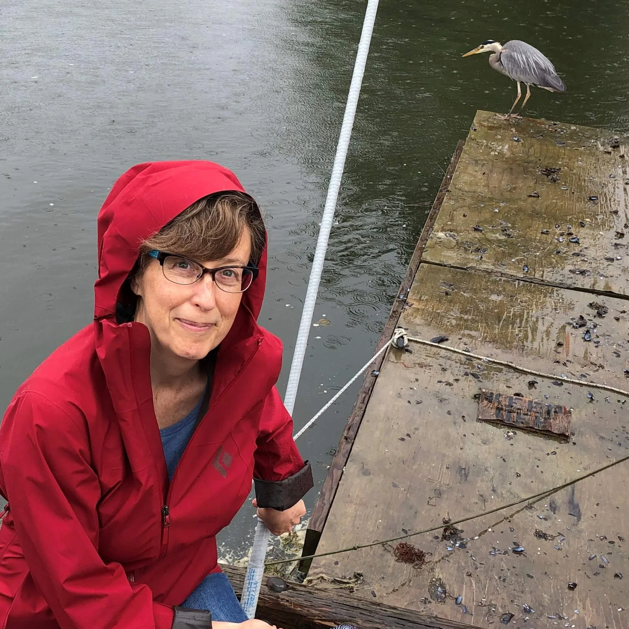 About — TARA CONNOLLY