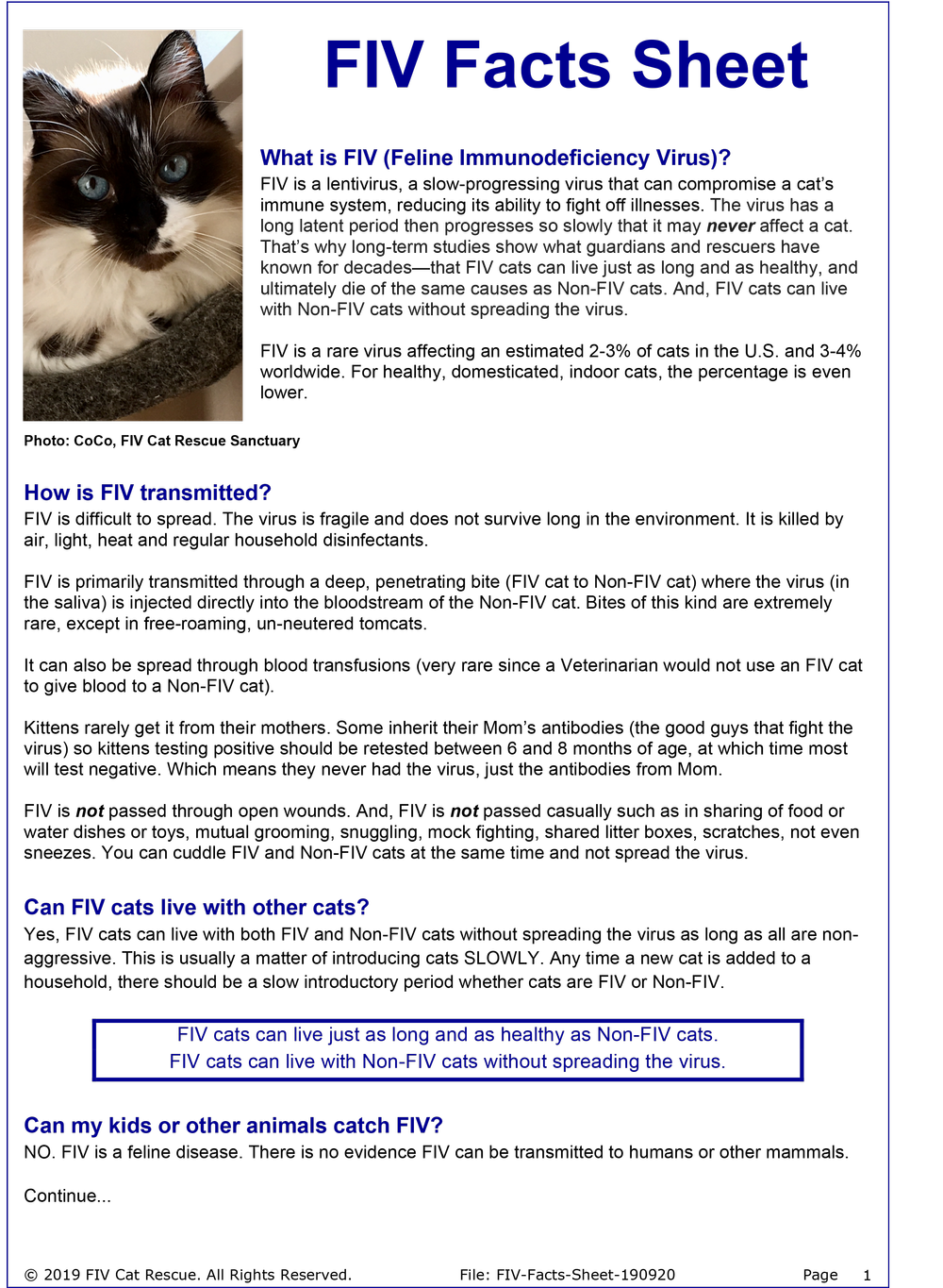 Cat Health — Queen City Cats VT