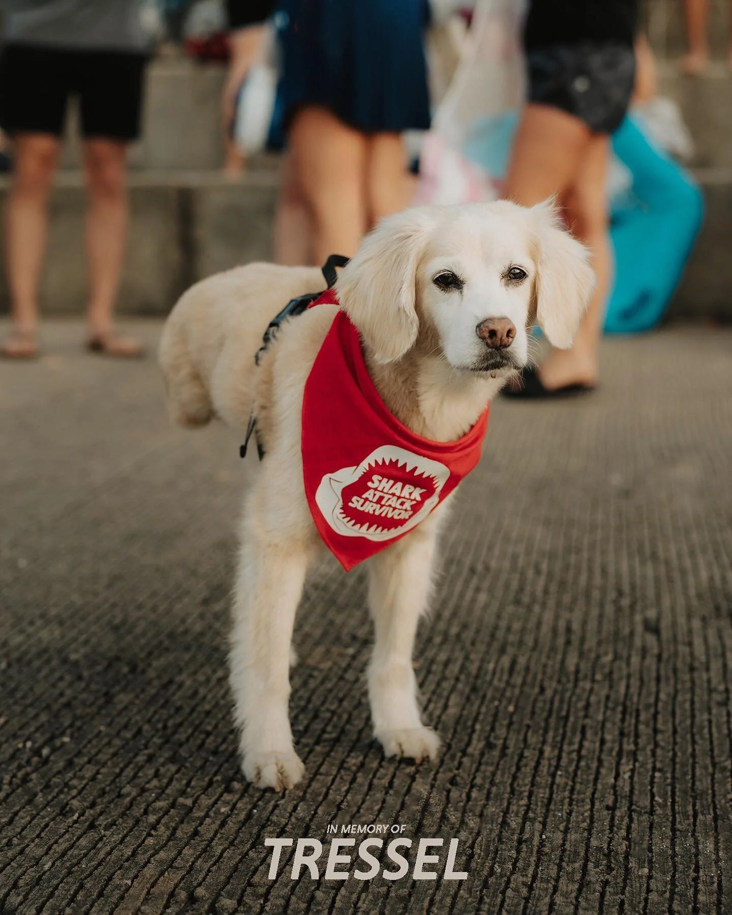 Friday Morning Swim Club™