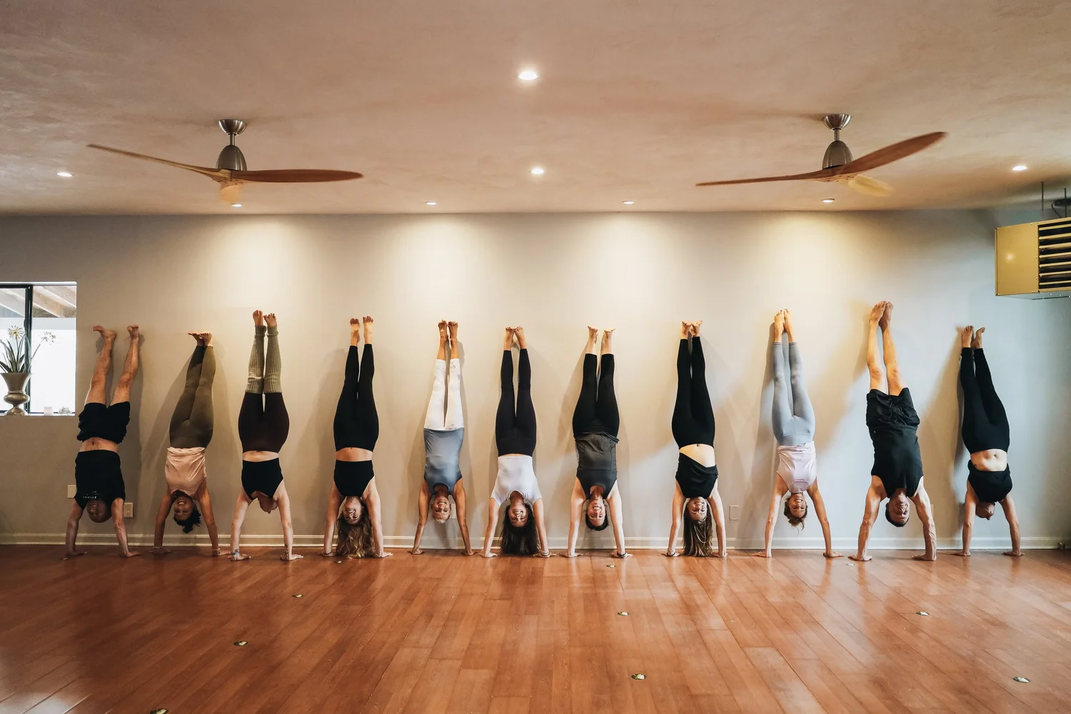 Yoga Class Schedule | Synergy Yoga & Wellness in Barrington, RI ...
