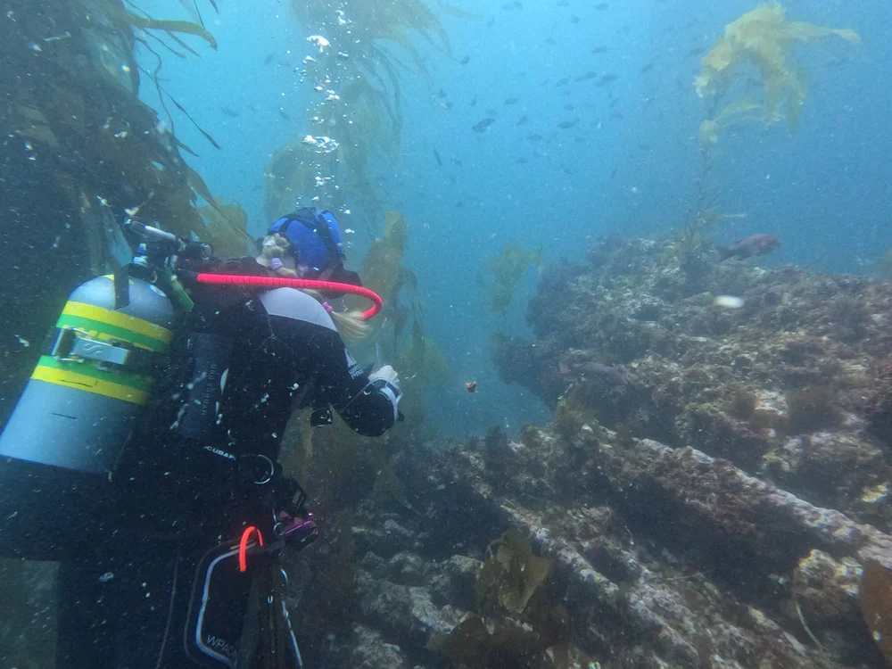 Peace Liveaboard Dive Boat - Dive The Channel Islands - Ventura, CA