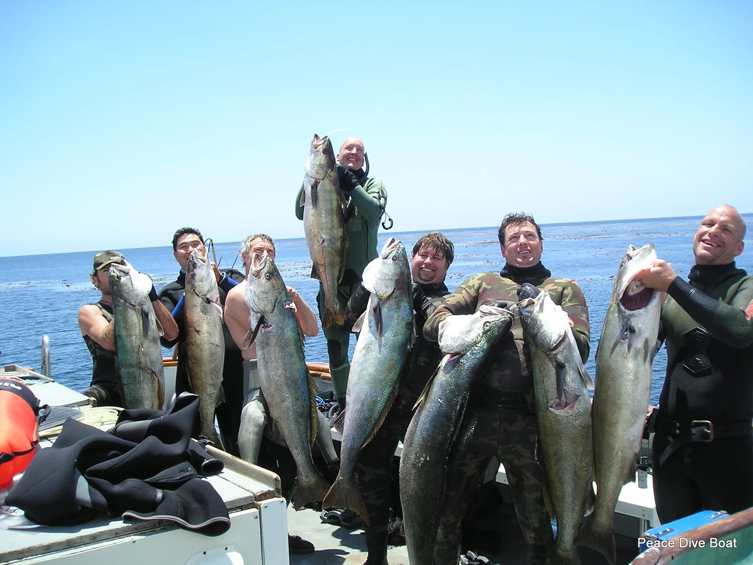 Gallery for the Peace — Scuba boat liveaboard Southern California ...