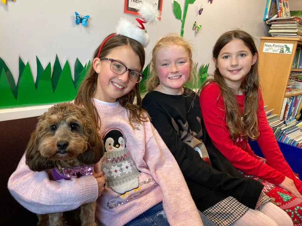 Unique School Support | Therapy Dogs — Hope's Therapy Dogs ltd
