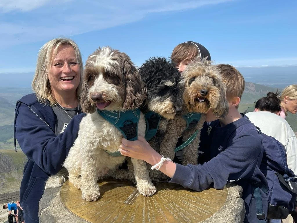 A Pawsome Adventure on Snowdon, Wales. — Hope's Therapy Dogs