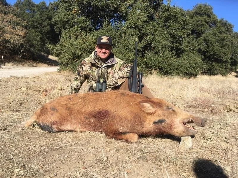 Cali Boar — Outrider