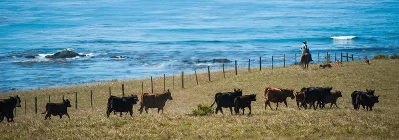 The Legacy Ranch Hunt — Outrider