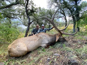 North America - ELK — Outrider