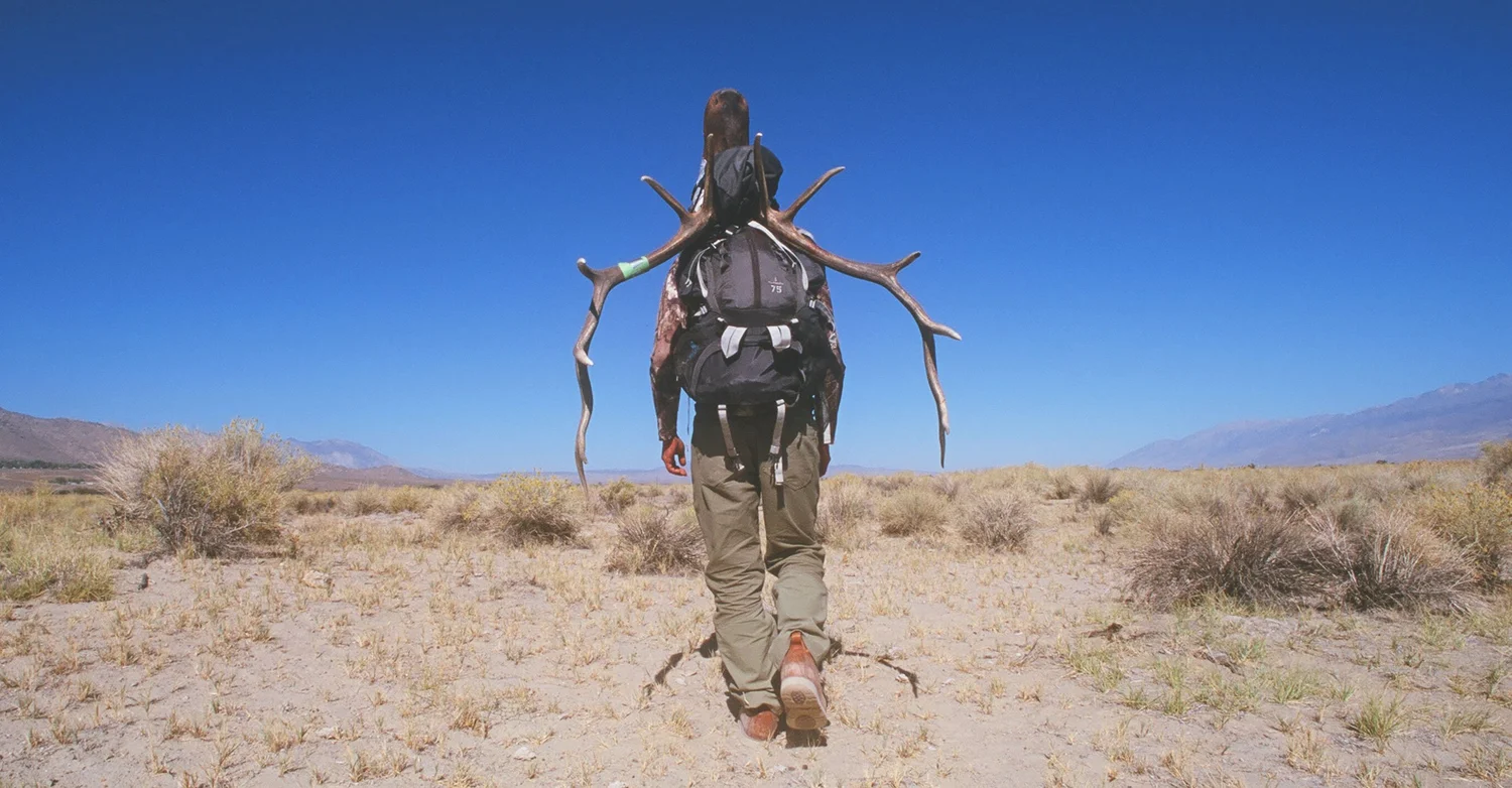 California Tule — Outrider