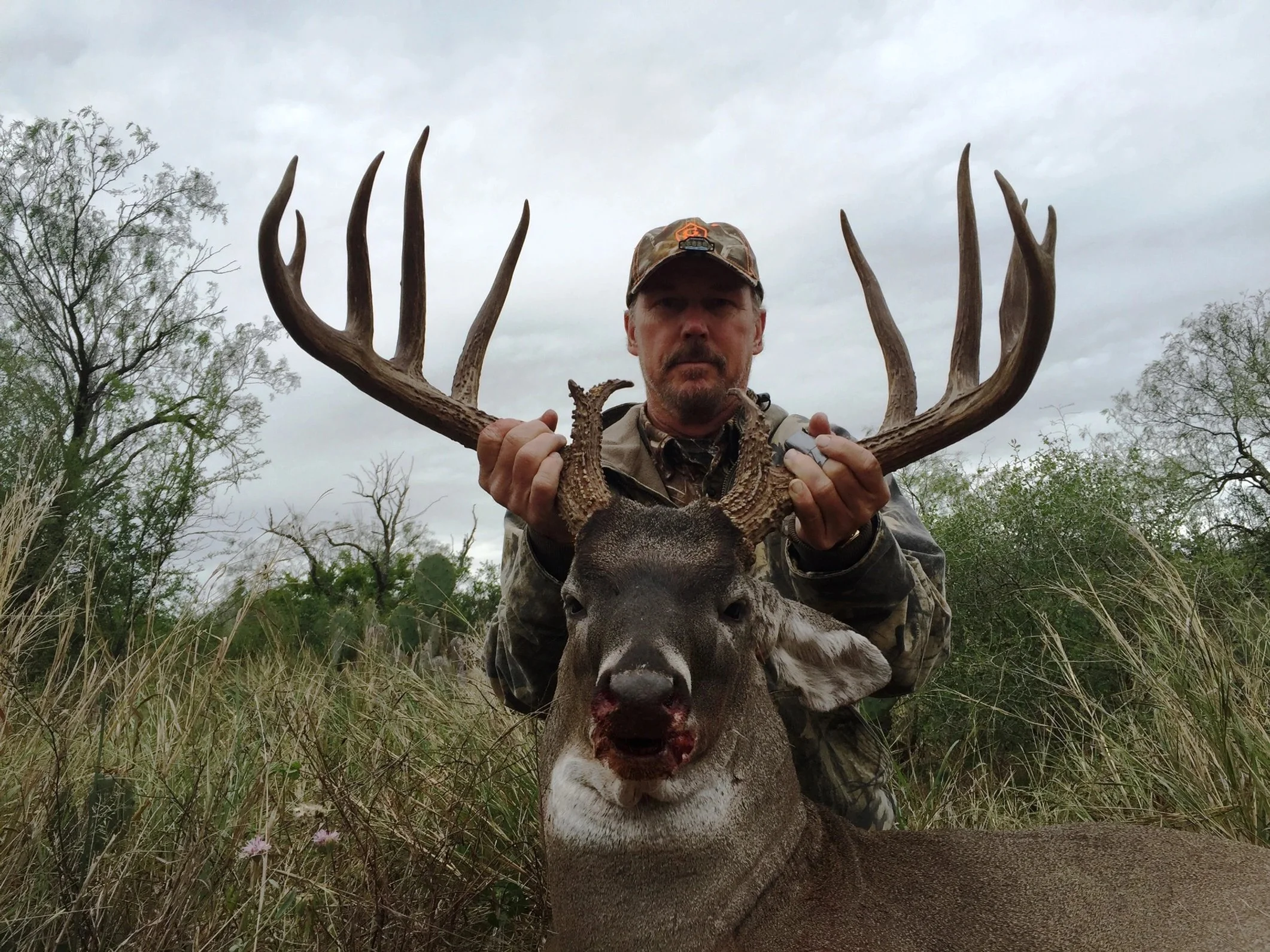 North America - DEER — Outrider