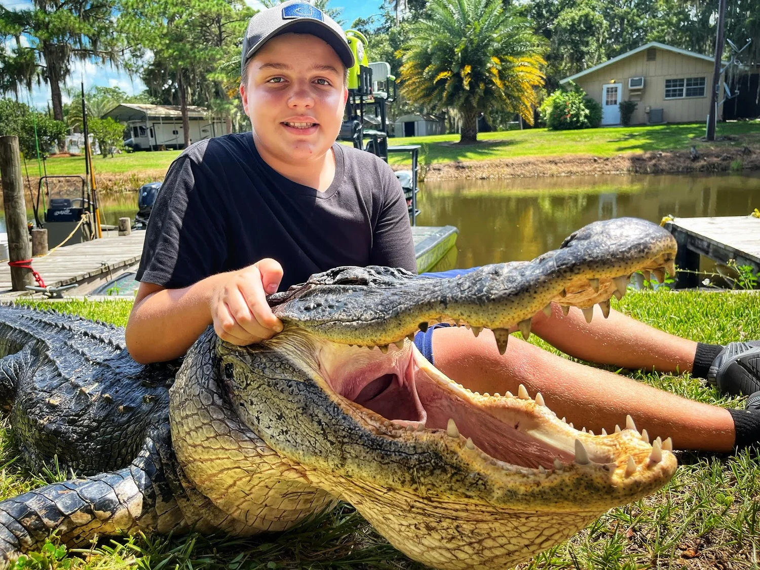 FLORIDA GATOR — Outrider