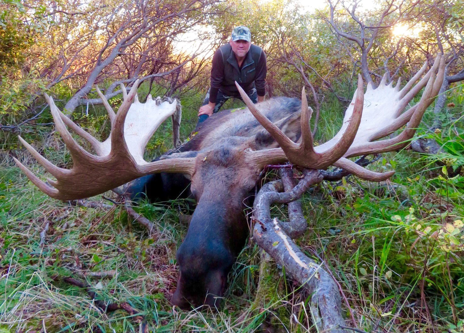 NORTH AMERICA MOOSE INDEX — Outrider