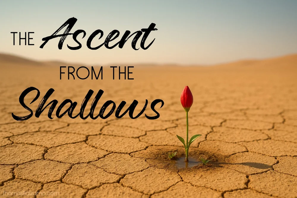The Ascent from the Shallows — Thomas Balzamo