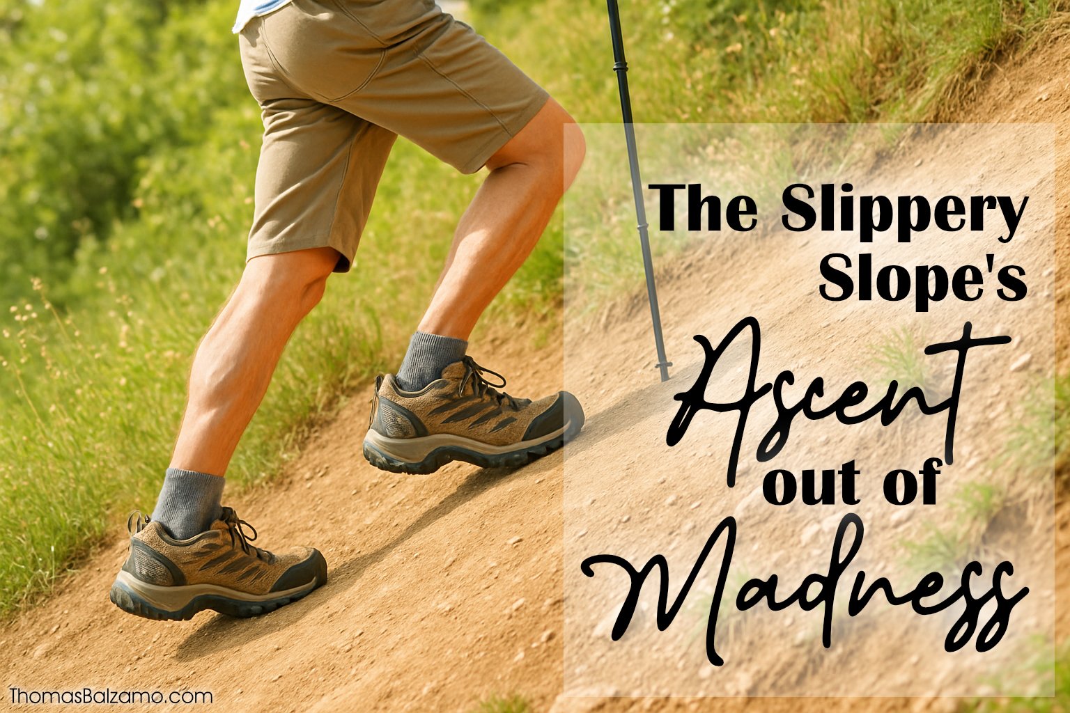Sometimes the "Slippery Slope" is the Ascent Out of Madness — Thomas ...