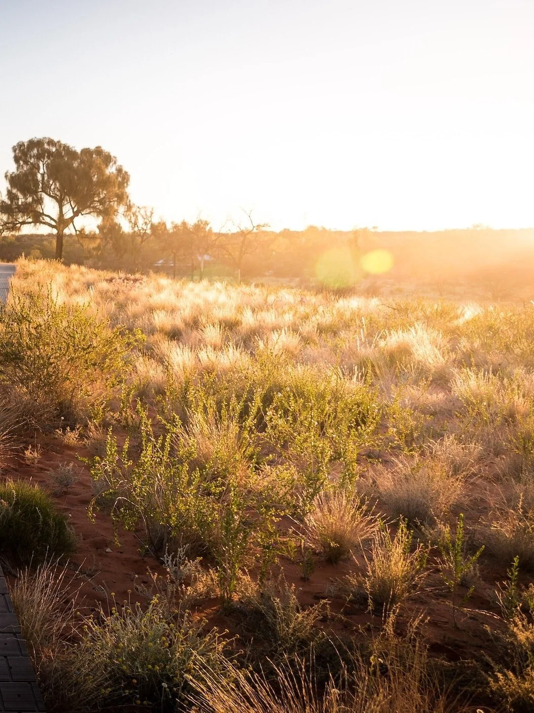 Molly Young, PsyD — Psychological Services Connection