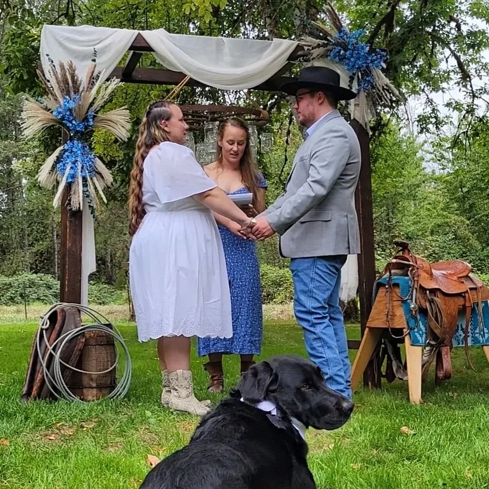 Pacific Crest Equine Veterinary Services