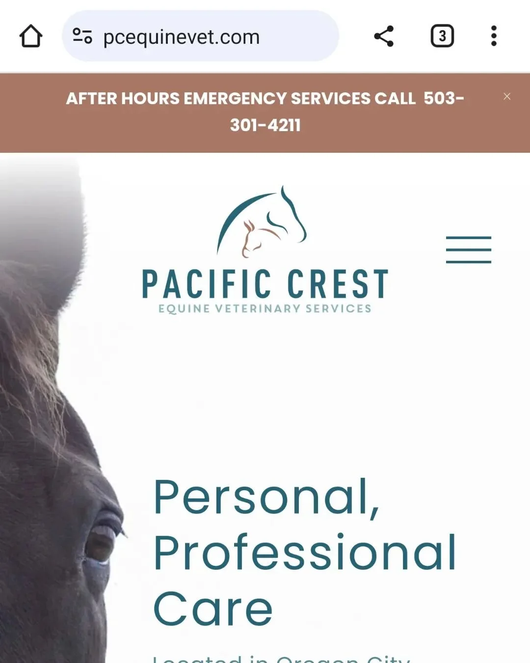 Pacific Crest Equine Veterinary Services