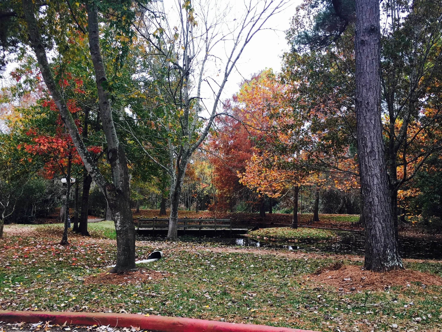 Cy-Hope Counseling – Affordable Mental Health Support in Houston, TX