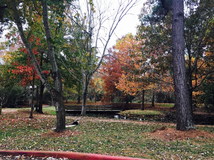 Cy-Hope Counseling – Affordable Mental Health Support in Houston, TX