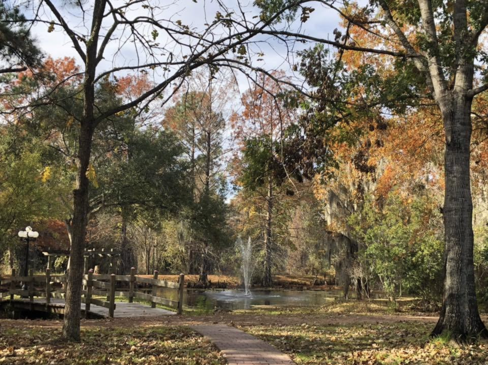 Cy-Hope Counseling – Affordable Mental Health Support in Houston, TX