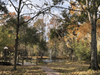 Cy-Hope Counseling – Affordable Mental Health Support in Houston, TX