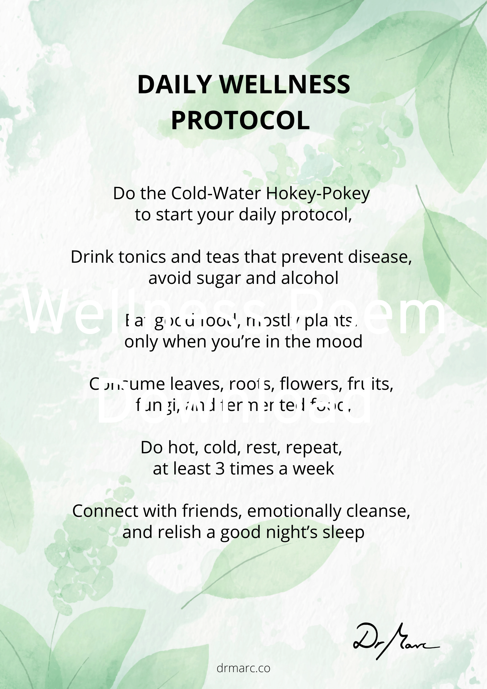 Daily Wellness Protocol Poster Download — Dr Marc