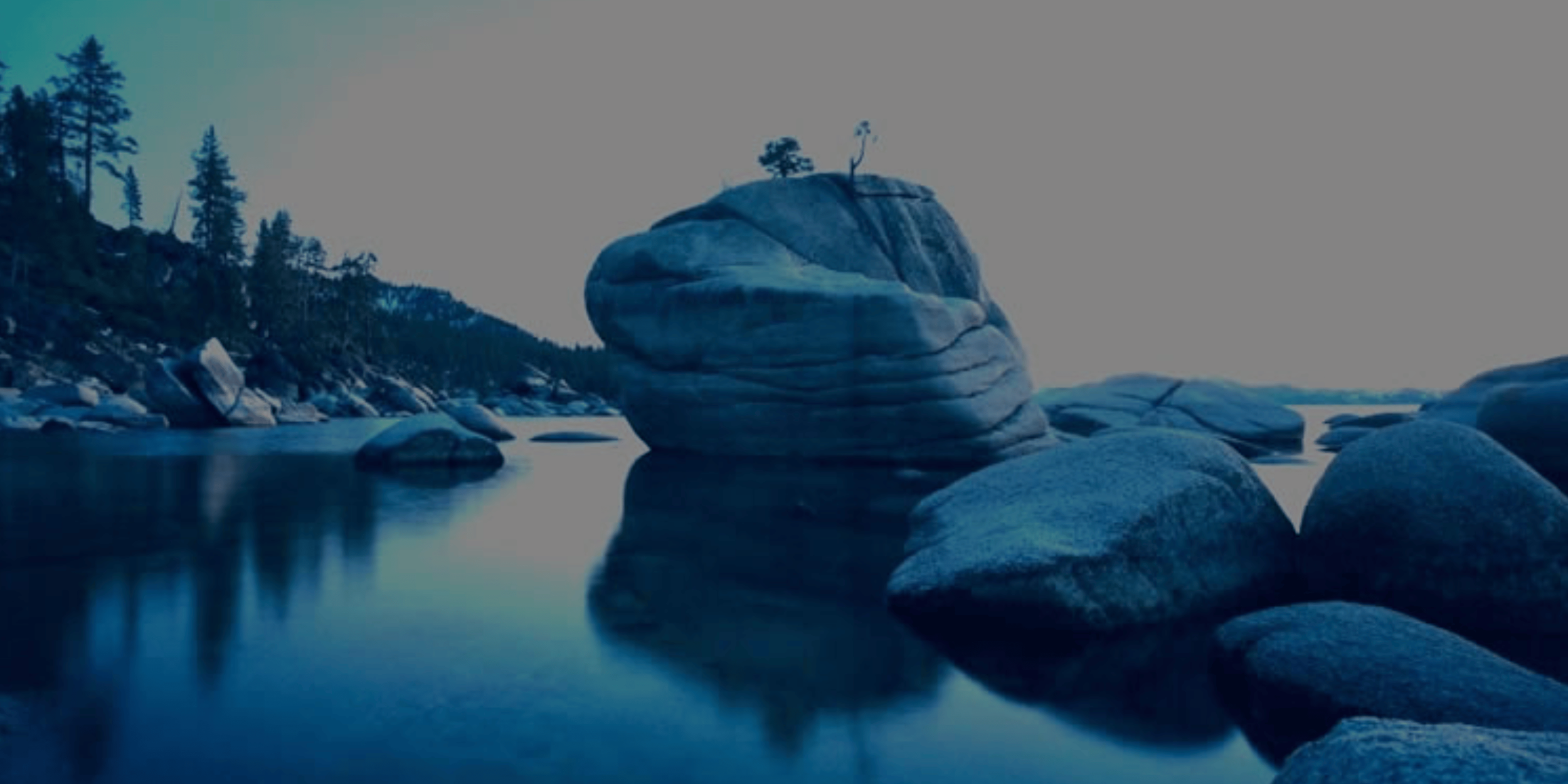 Lifestyle & Detoxification — Dr Marc