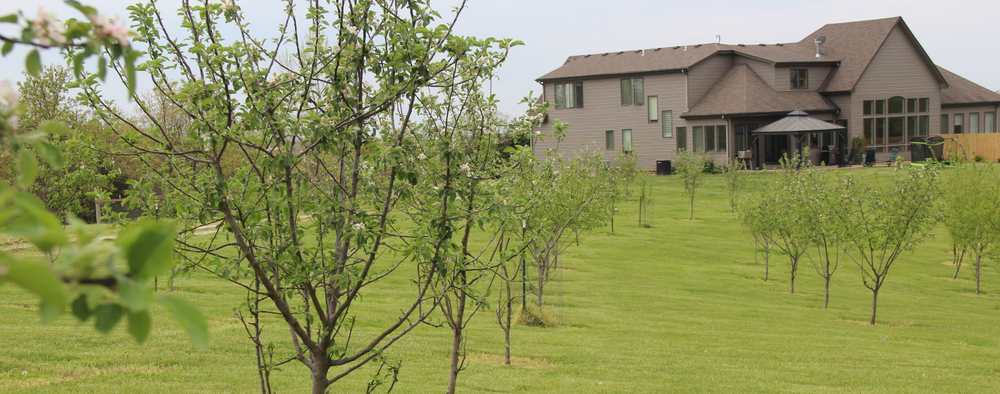 Join Joy Meadows Community to Support Foster Families! • Joy Meadows
