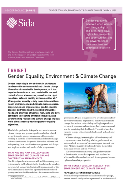 Sida: Gender Equality, Environment & Climate Change — AlphaMundi Foundation