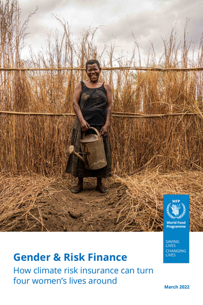 Services 1 — AlphaMundi Foundation