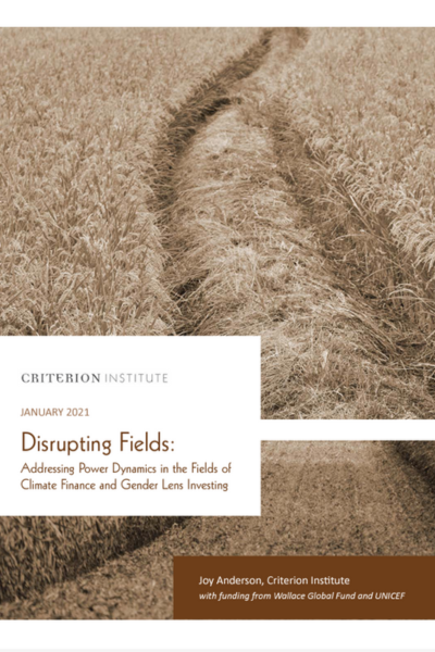 Addressing Power Dynamics in the Fields of Climate Finance and Gender ...