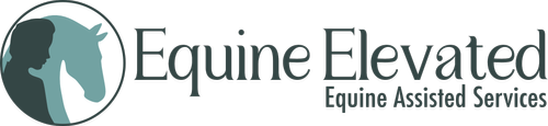 Equine Elevated