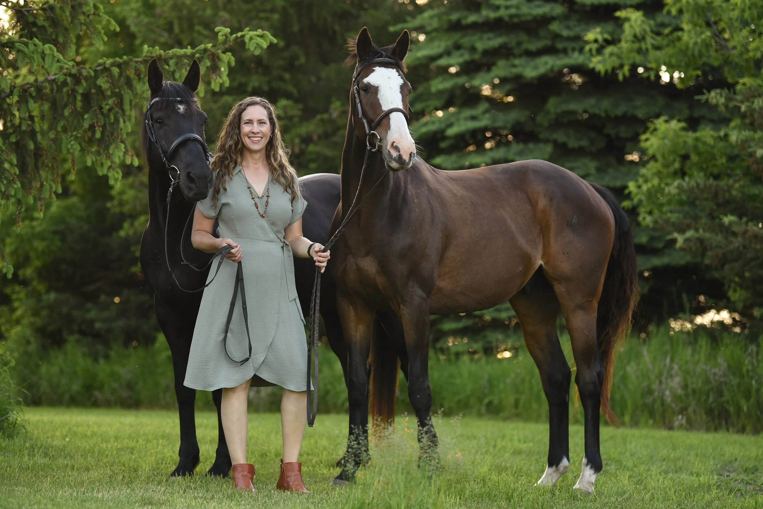 Contact — Equine Elevated