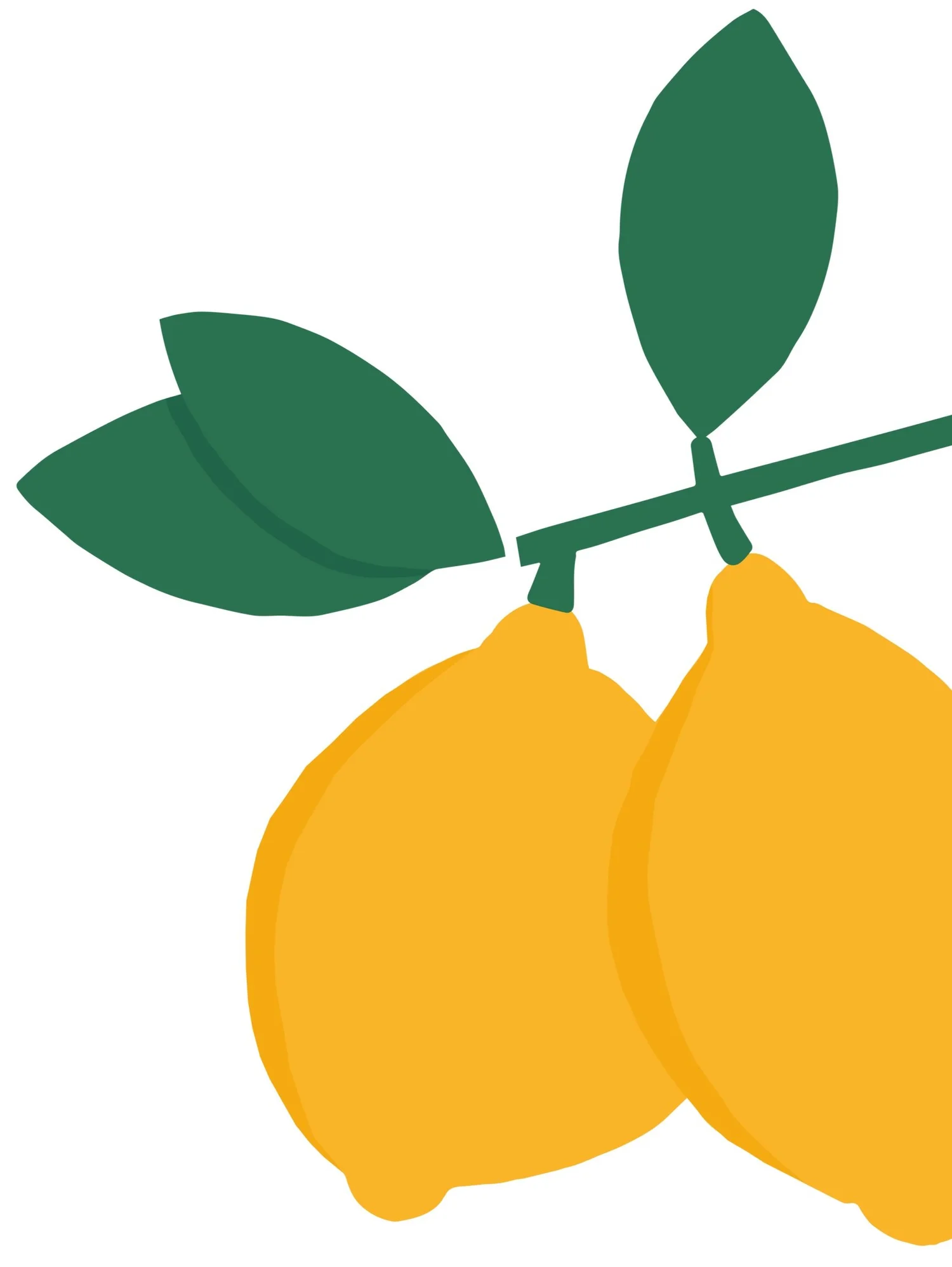 Gallika - Cuisine grecque