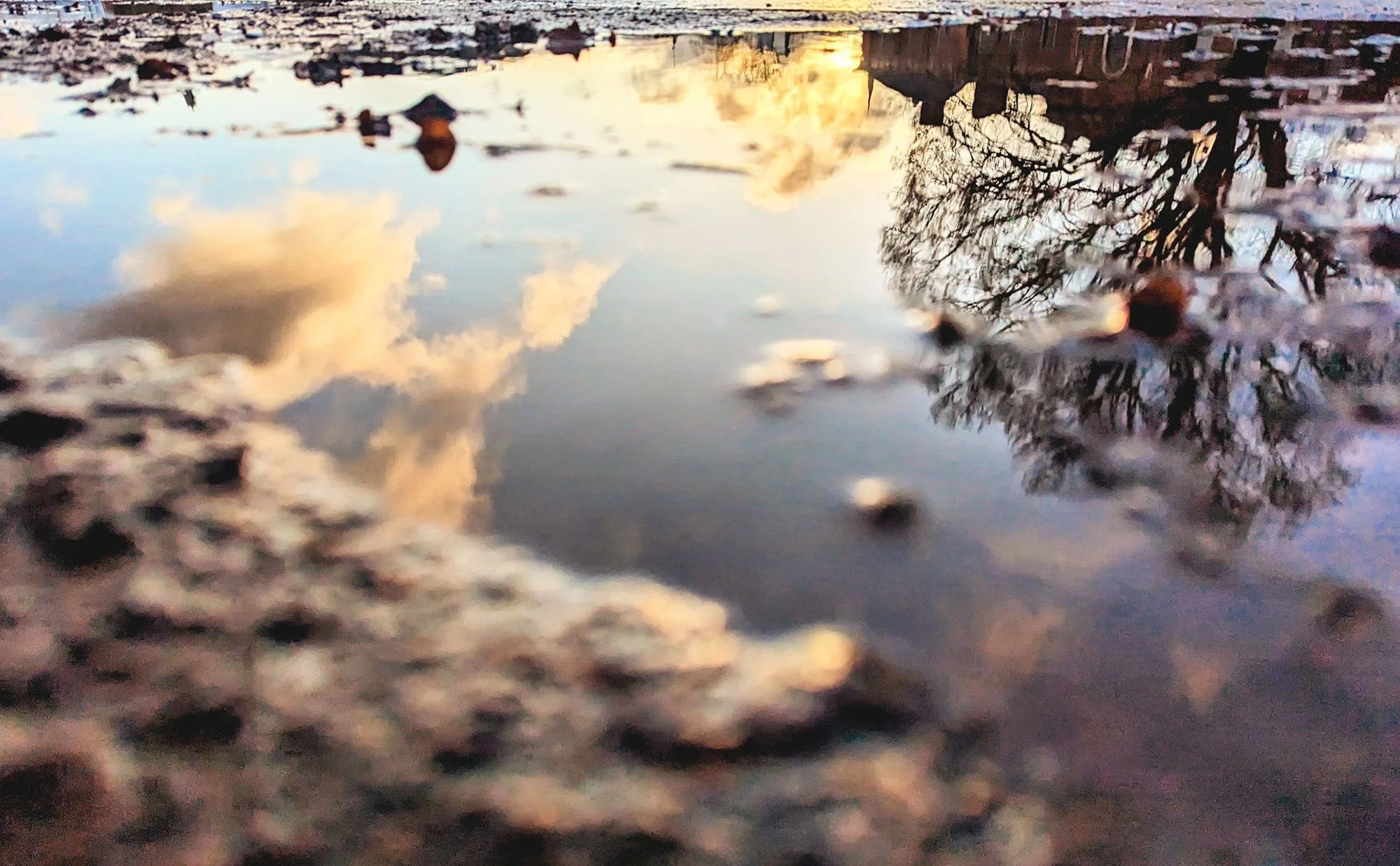 House of Mind | Mindfulness Training and Yoga tuition in London