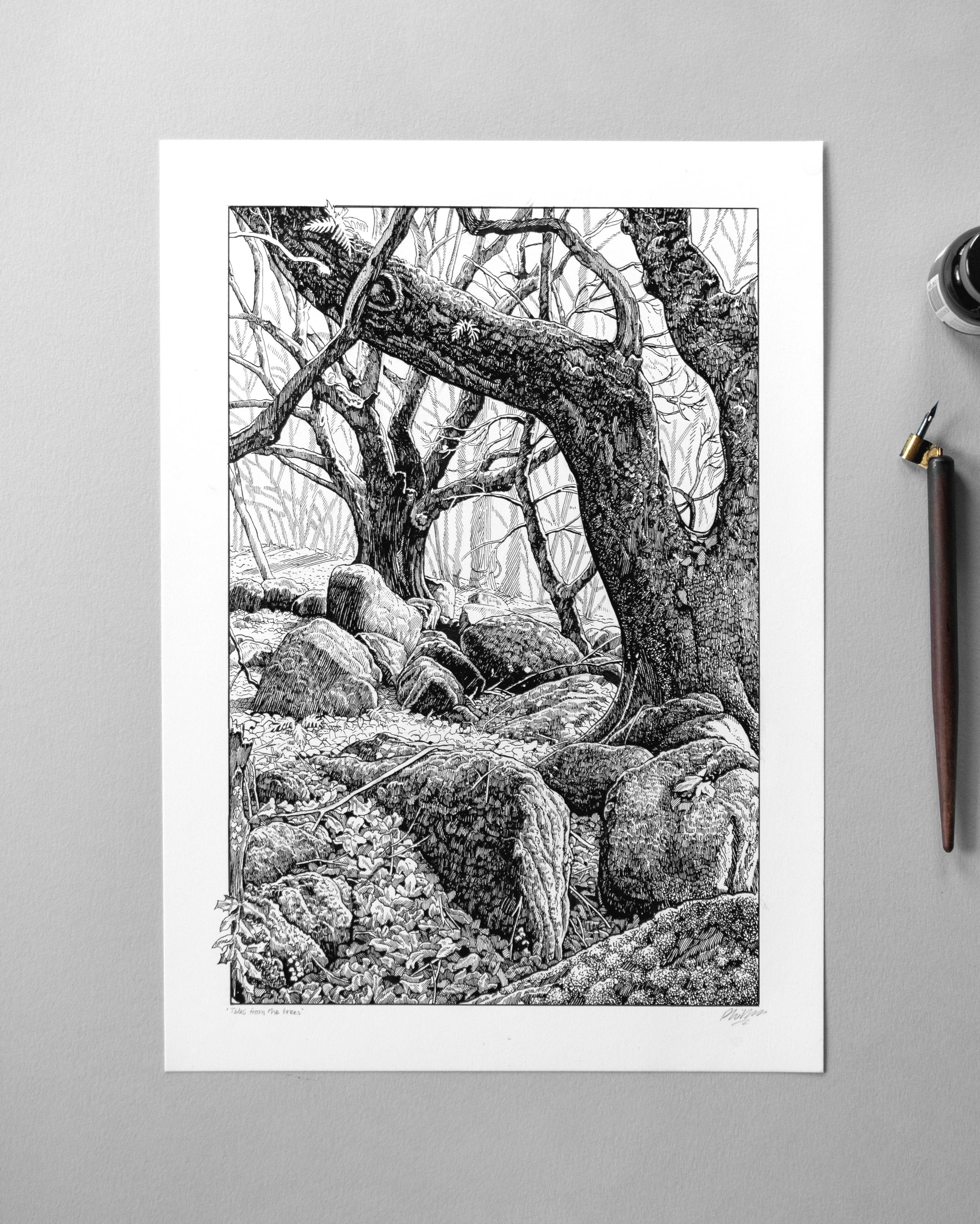 Tales From the Trees — Philip Harris Illustration
