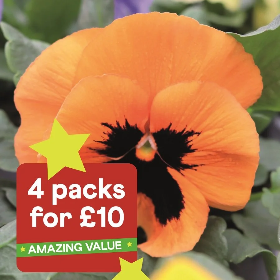 Yorkshire Garden Centres | YGC Group