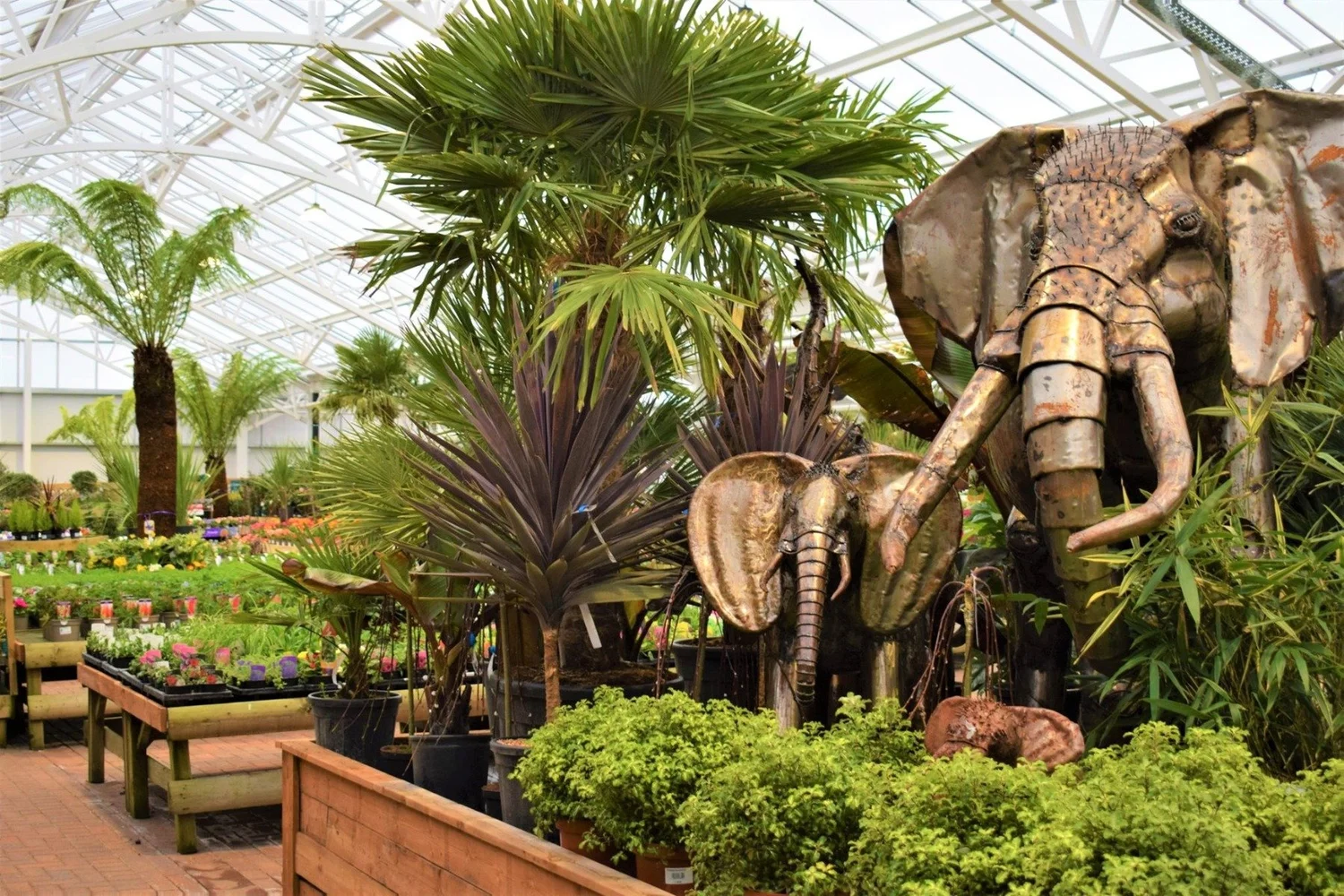 Yorkshire Garden Centres | YGC Group