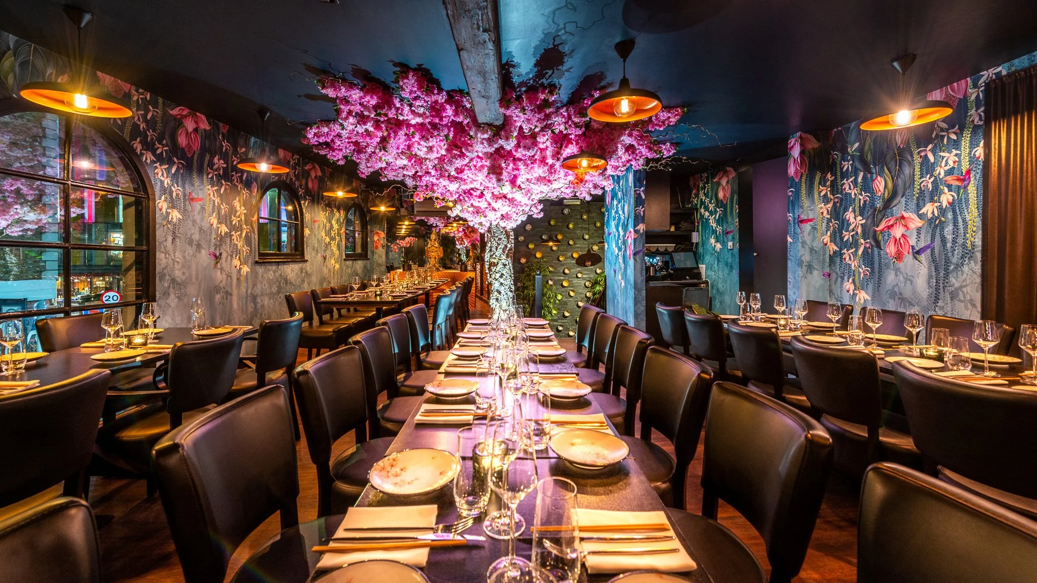 Waterloo — Sticky Mango