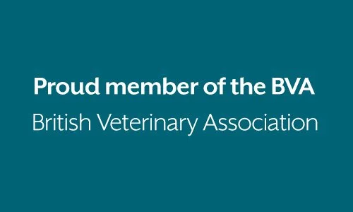 Nutracys+ for Cats & Dogs — Holisticvet
