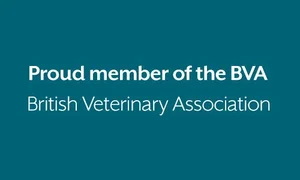 Nutracys+ for Cats & Dogs — Holisticvet