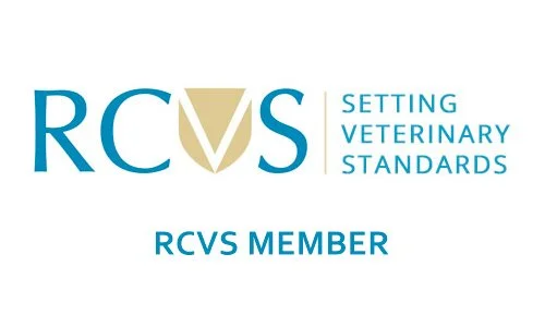 Nutracys+ for Cats & Dogs — Holisticvet