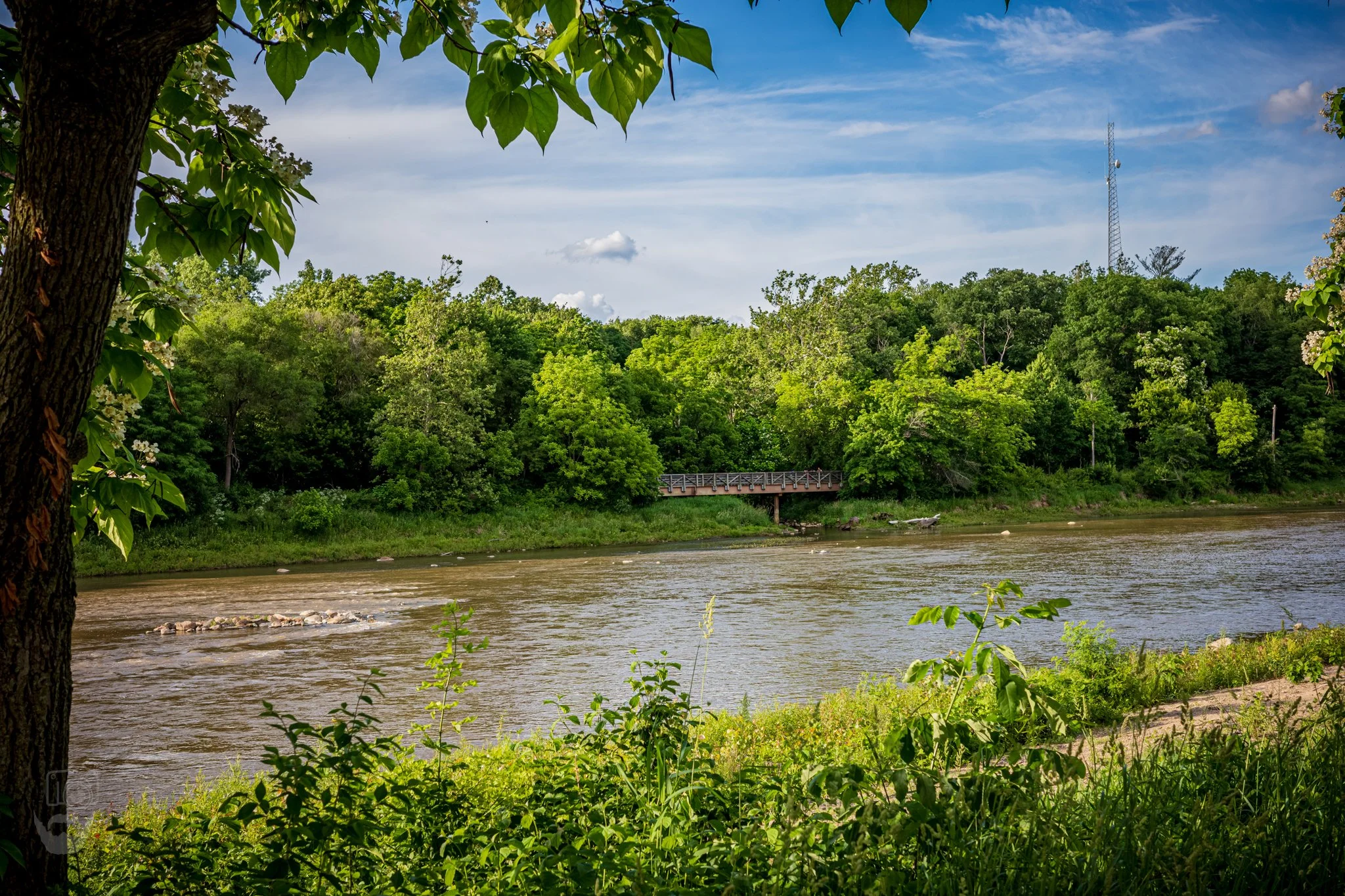 Vibrant Event Center