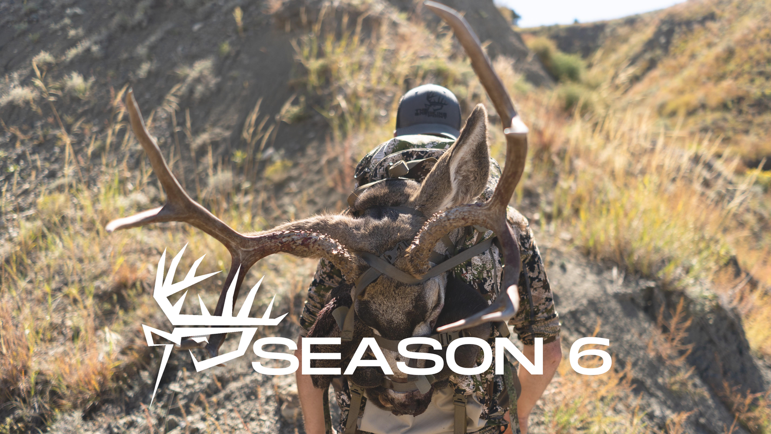 The Breaking Point TV