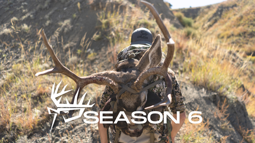 The Breaking Point TV