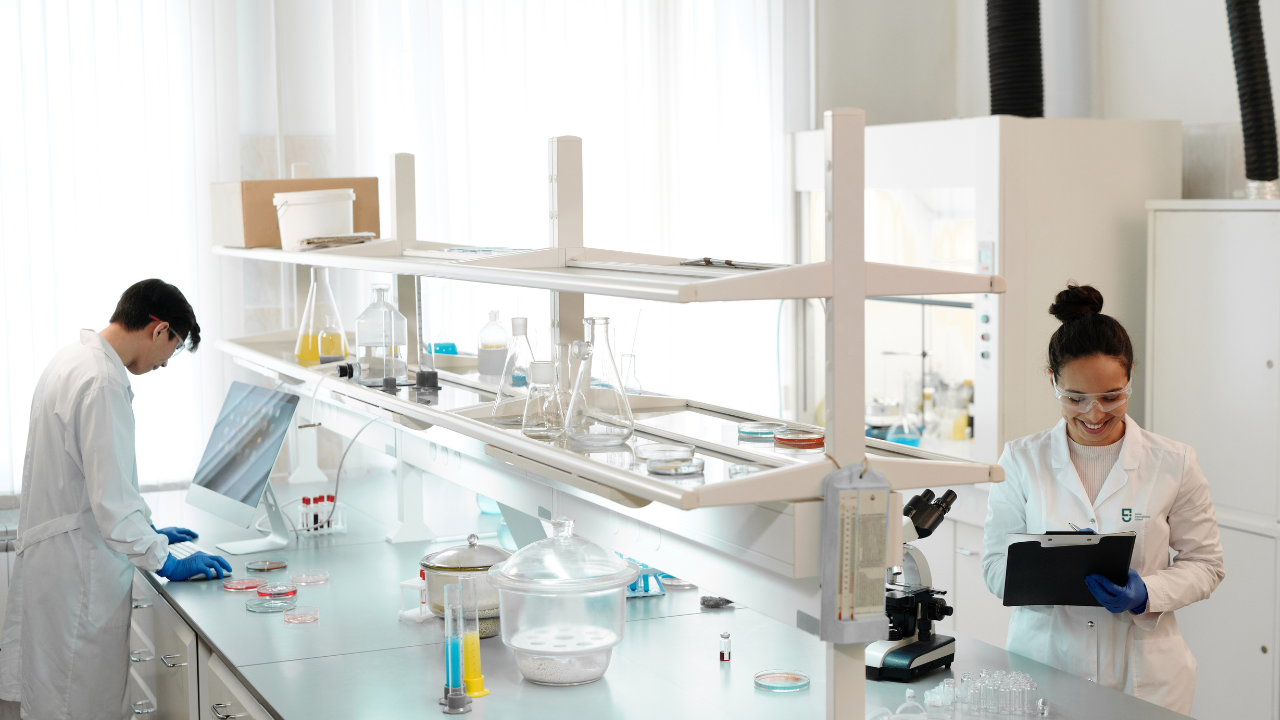 IGCSE — Leiria International School