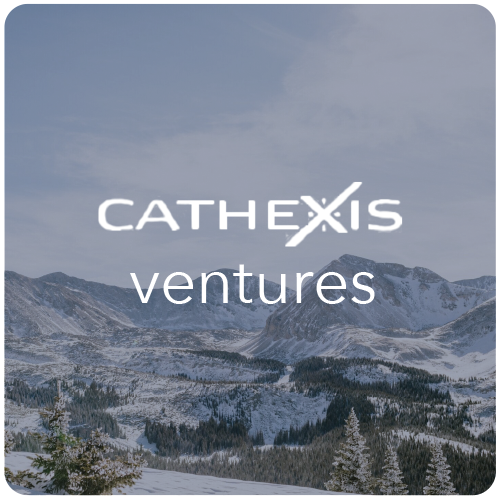 Cathexis Holdings LP